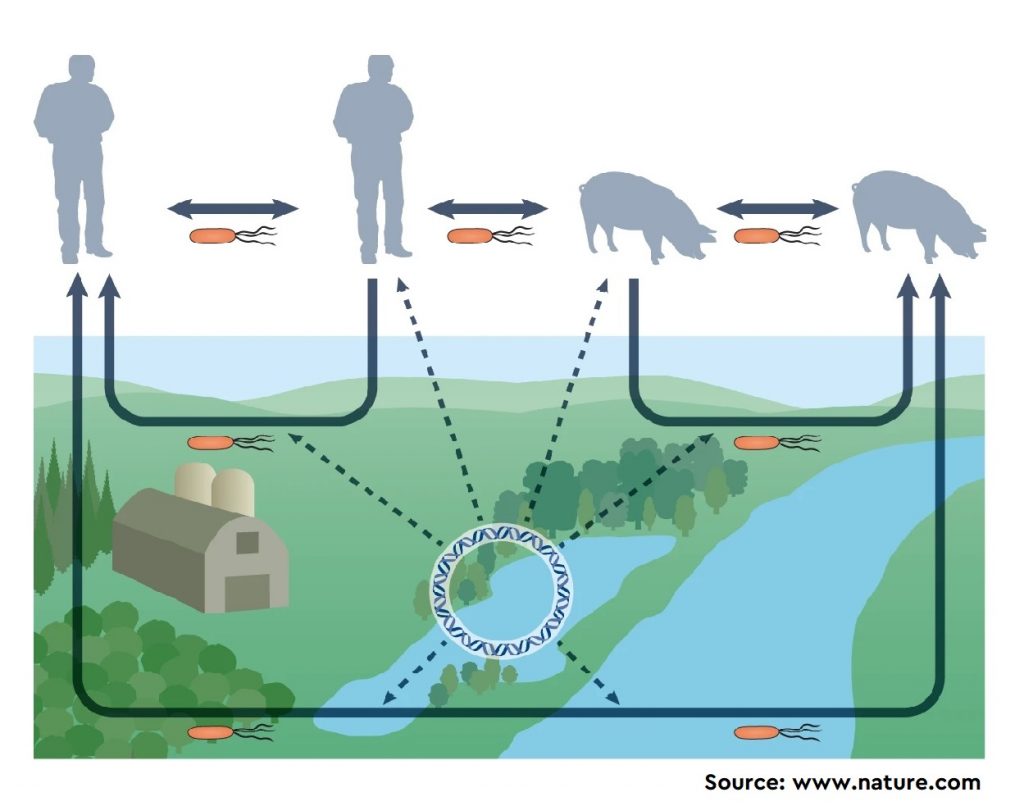 Antibiotic Resistance in the Environment - Prevent It