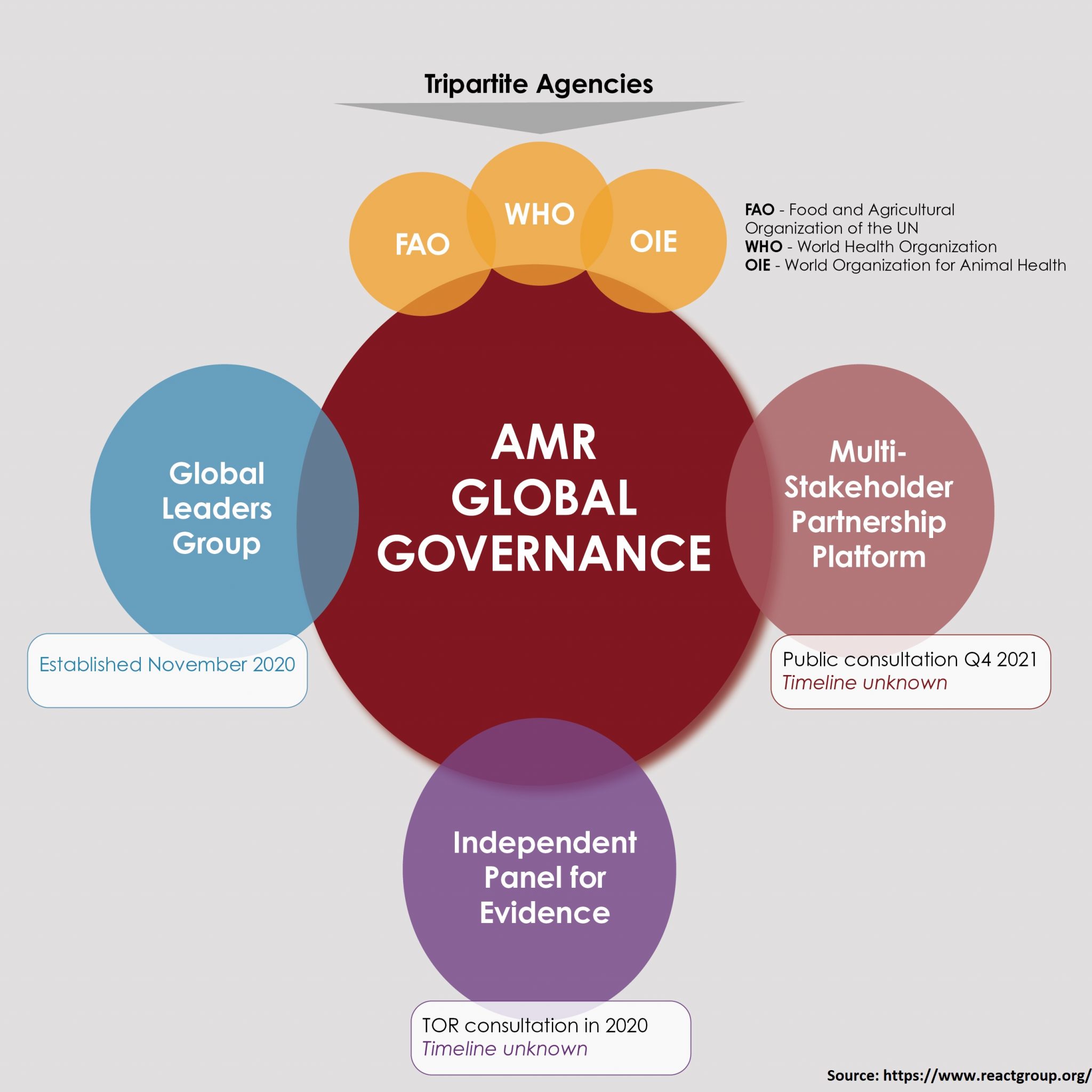 Governing Antimicrobial Resistance: A Narrative Review of Global ...