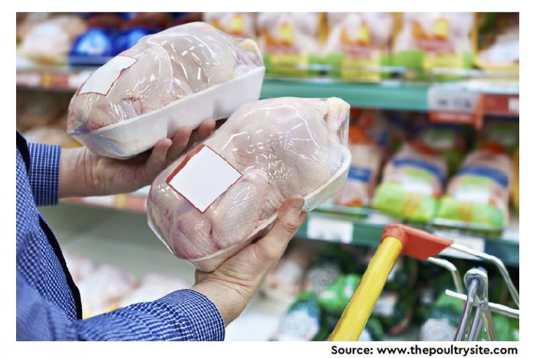 Prevalence and Antimicrobial Resistance of Escherichia Coli in Chicken ...